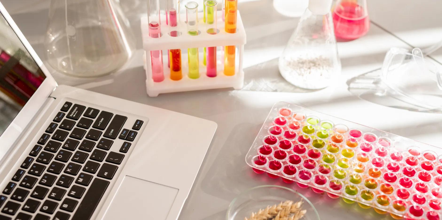 Aanbod van chemie - Polymer Science Park