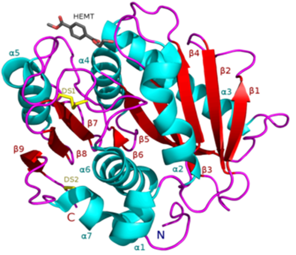 De Toekomst van Kunststof: Biologisch Afbreekbaar of Niet? | Polymer Science Park